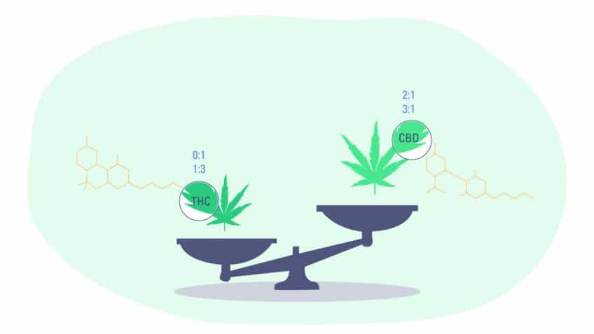 High CBD Strains - List of Cannabis Strains Rich In Cannabidiol